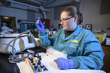 Wright State Undergraduate Honors Scholarships | Admission & Aid | Wright State University