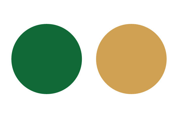 Quick Facts | Wright State University