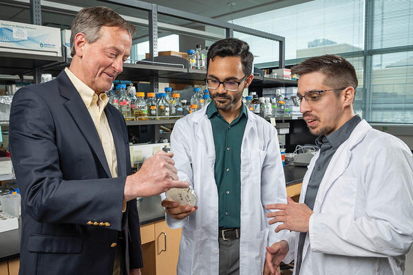 Graduate Programs and Honors Studies | Wright State University